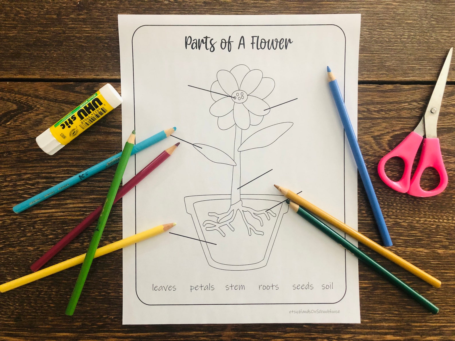Parts of a Flower Coloring and Labeling Printable a - Etsy