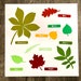 Types of Tree Leaves Cut File- a Science and Botany Download for ...
