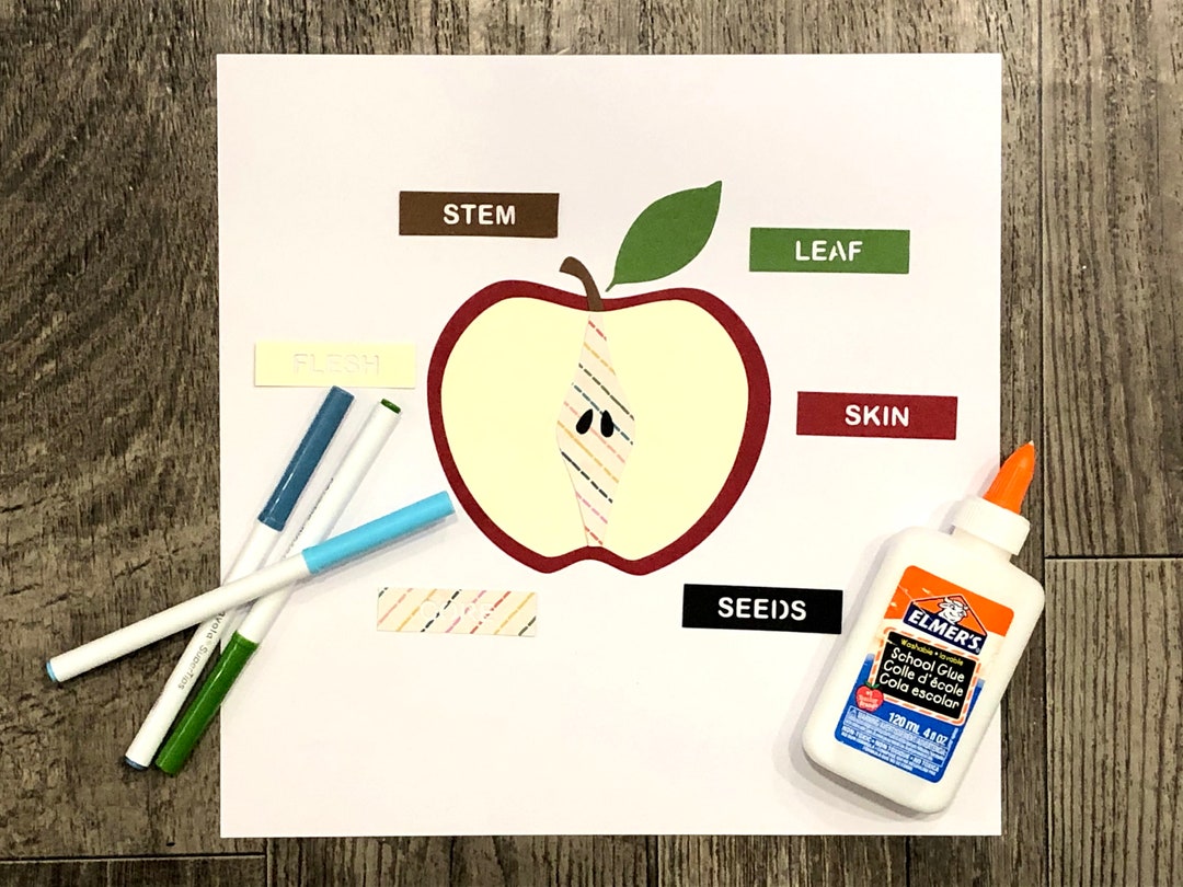 Parts of an Apple | Apple Anatomy SVG- Felt Board Template- a Cut File ...
