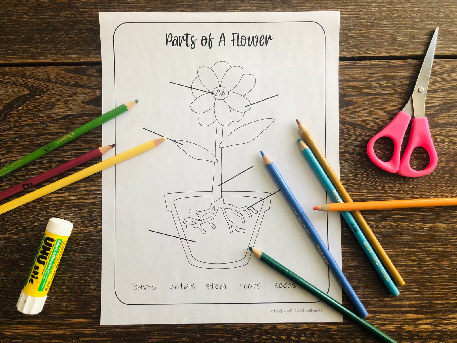Parts of a Flower Coloring and Labeling Printable a - Etsy Canada