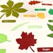 Types of Tree Leaves Cut File- a Science and Botany Download for ...