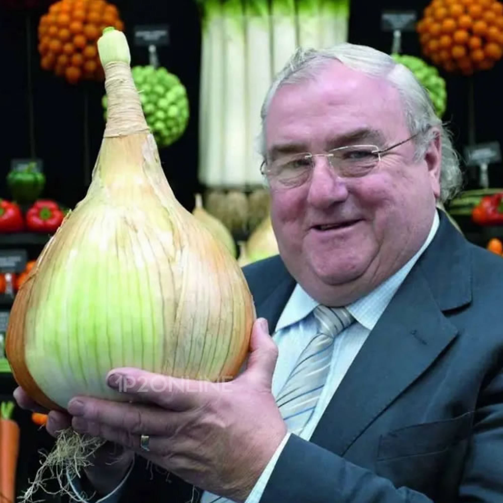 Kelsae Sweet Giant Onion Sets