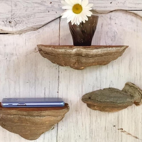 Cottagecore Detailed Snail Shelf Decor | Etsy