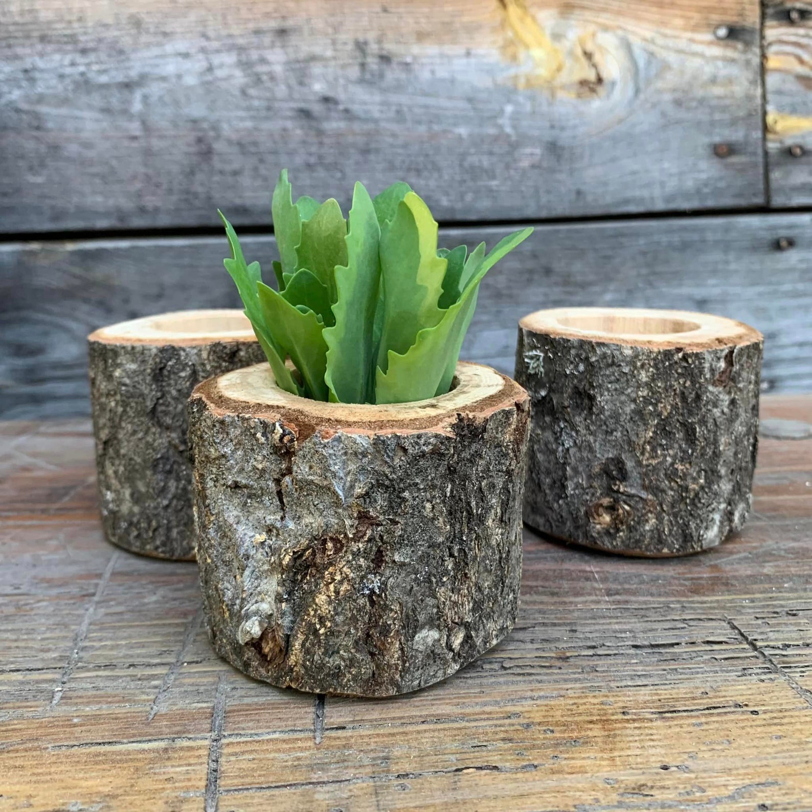 Small Indoor Planters Wood Flower Pot Mini Plant Pot Handmade Desk ...