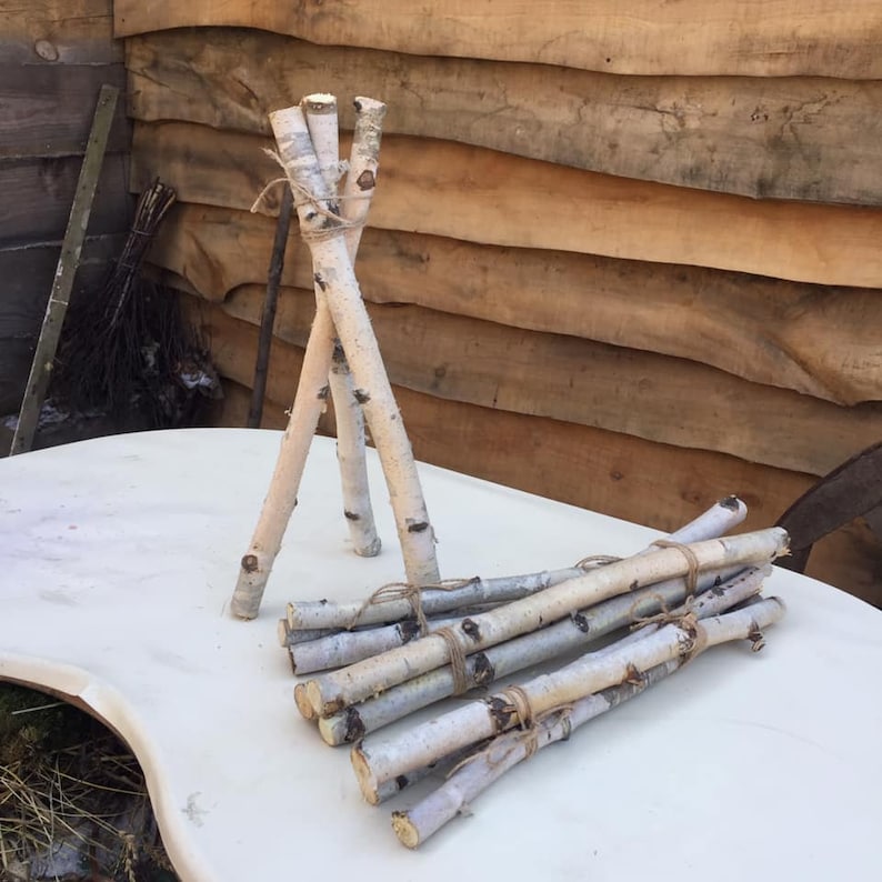 17'' White Birch Branches Logs Tee Pee Decor Natural Wood Crafting ...