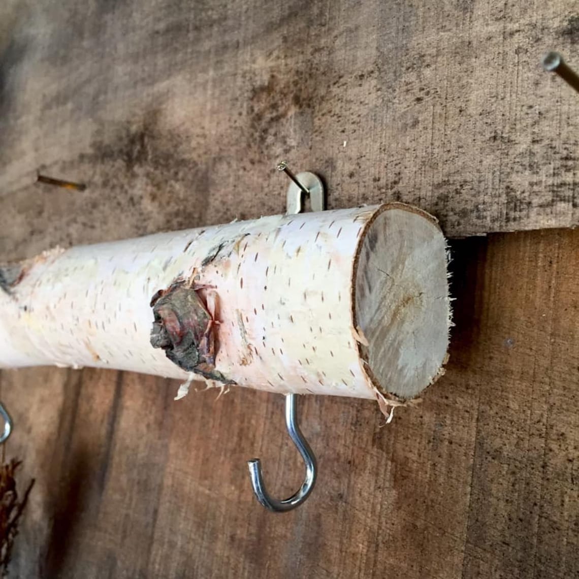 Birch coat rack Coat rack wall mount Tree Branch Hooks | Etsy