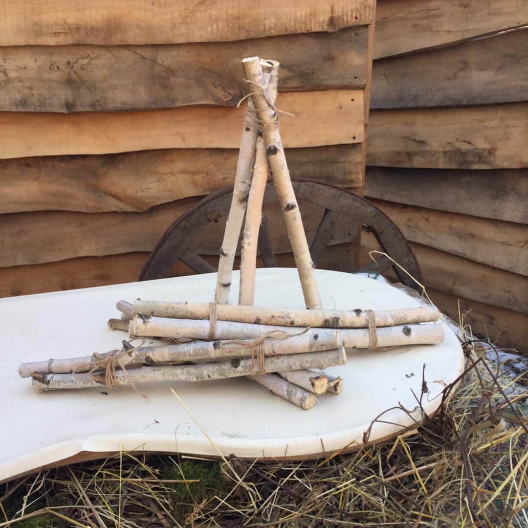 17'' White Birch Branches Logs Tee Pee Decor Natural Wood Crafting ...