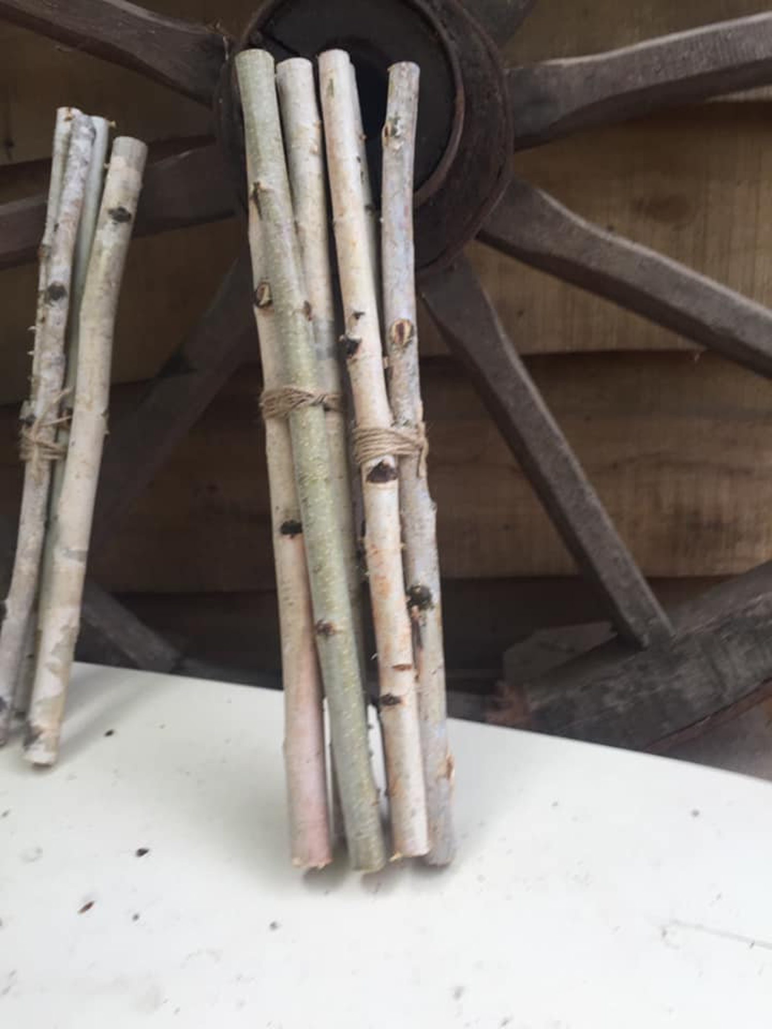 Birch Logs Birch Branches White Birch Poles - Etsy