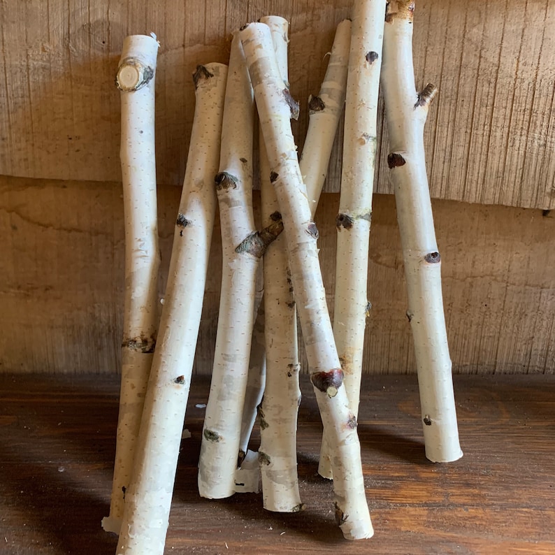 Birch Branches White Birch Poles Rustic Birch Decor - Etsy