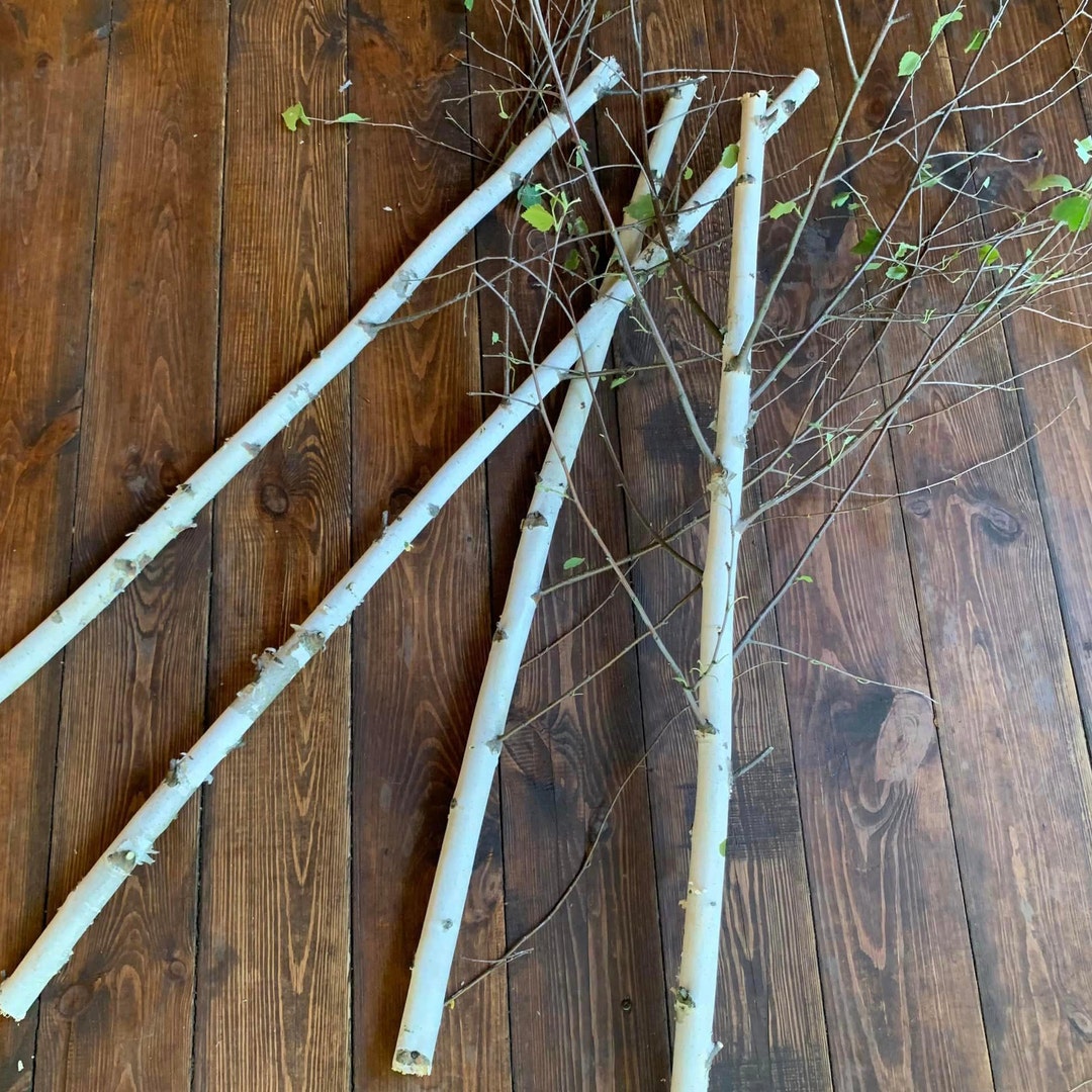 Birch Branch Decor White Birch Logs Birch Poles Branches for Vase SET 3 ...