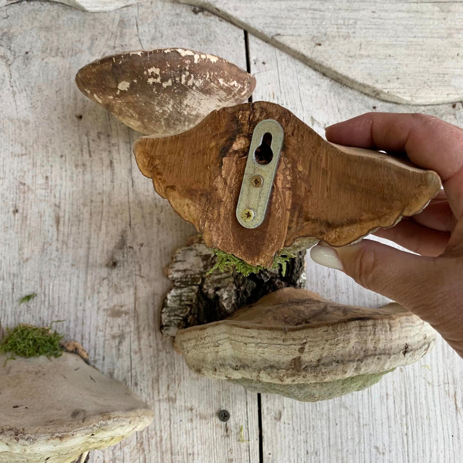 Mushroom Shelf Porch Decor Ideas Forestcore Decor - Etsy