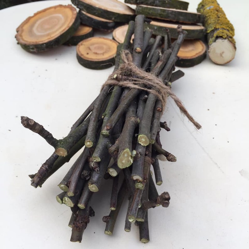 100 Apple Wood Sticks Chew Sticks Bunnies Fresh Organic Apple - Etsy