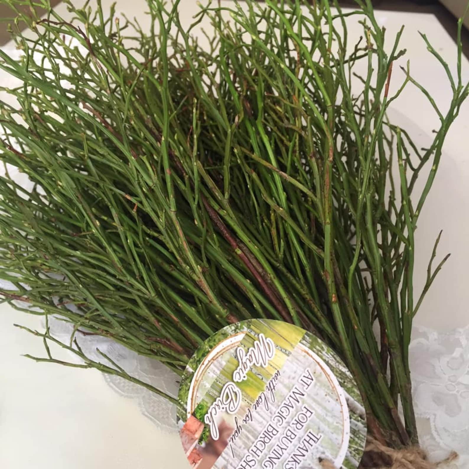 Green Dried Twigs Natural Twigs Dried Branches Wedding Centerpieces ...