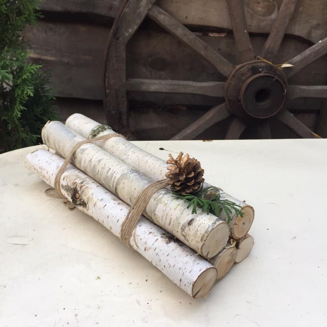 Christmas Birch Bundle White Birch Fireplace Logs - Etsy