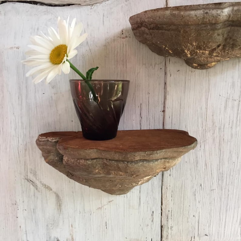 Set 3 Mushroom Shelf Fungus Shelves Cottagecore Decor Mushroom - Etsy
