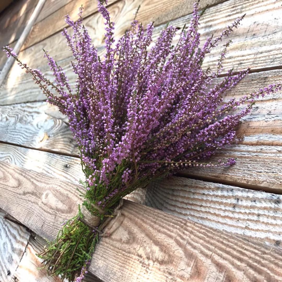 Dried Heather Bouquet Dried Wild Flowers - Etsy