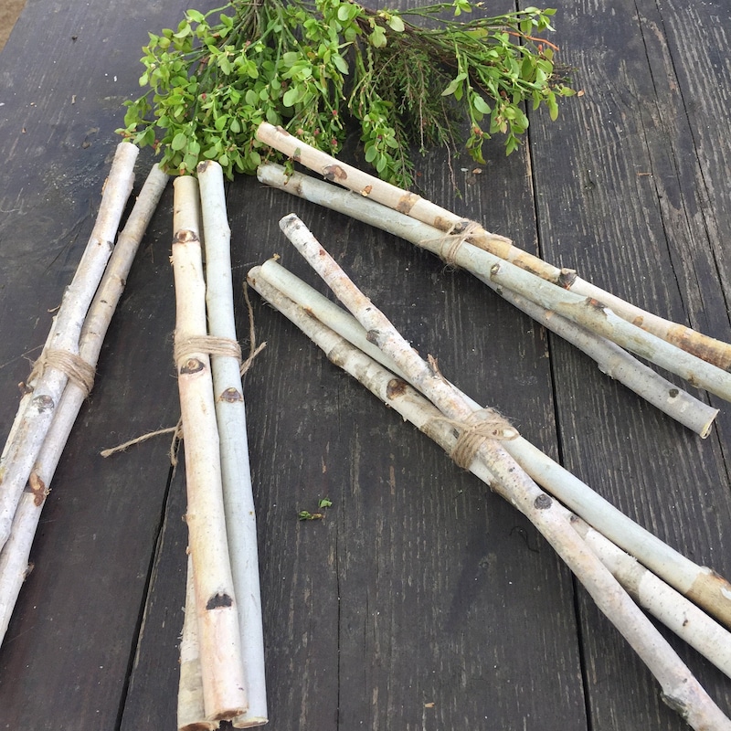 Birch Poles - Etsy