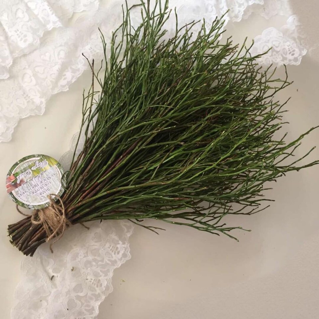 Green Dried Twigs Natural Twigs Dried Branches Wedding Centerpieces ...