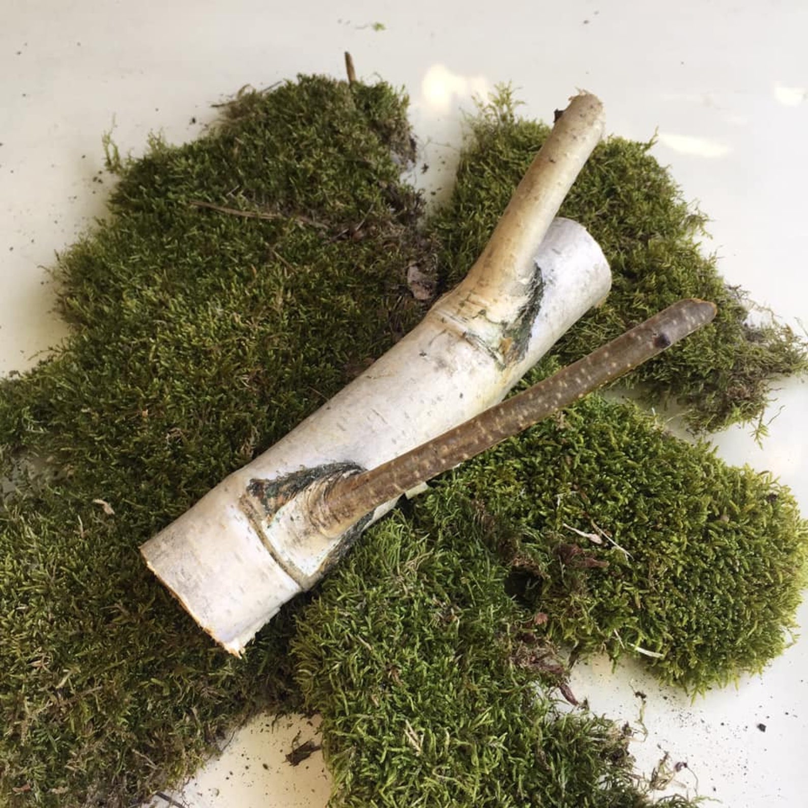 Set of 3 Rustic Coat Hooks Tree Branch Hanger - Etsy