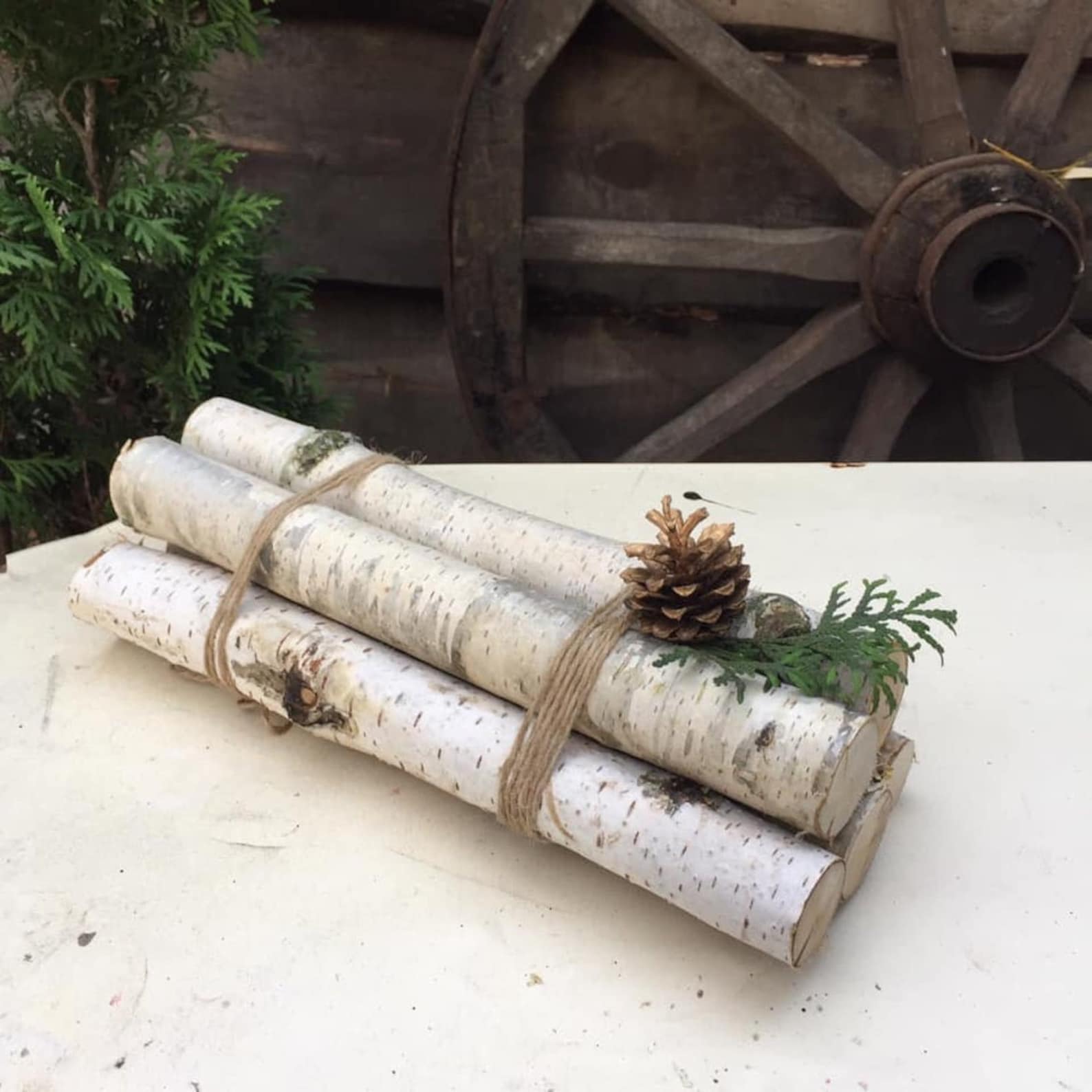 Christmas Birch Bundle White Birch Fireplace Logs - Etsy