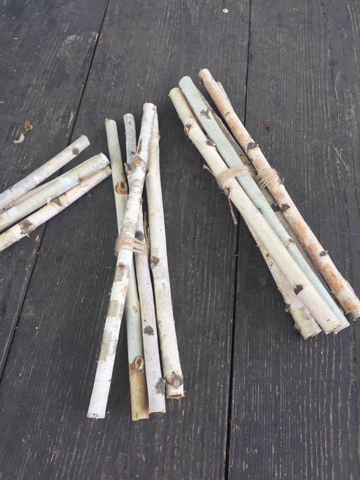 Birch Logs Birch Branches White Birch Poles - Etsy