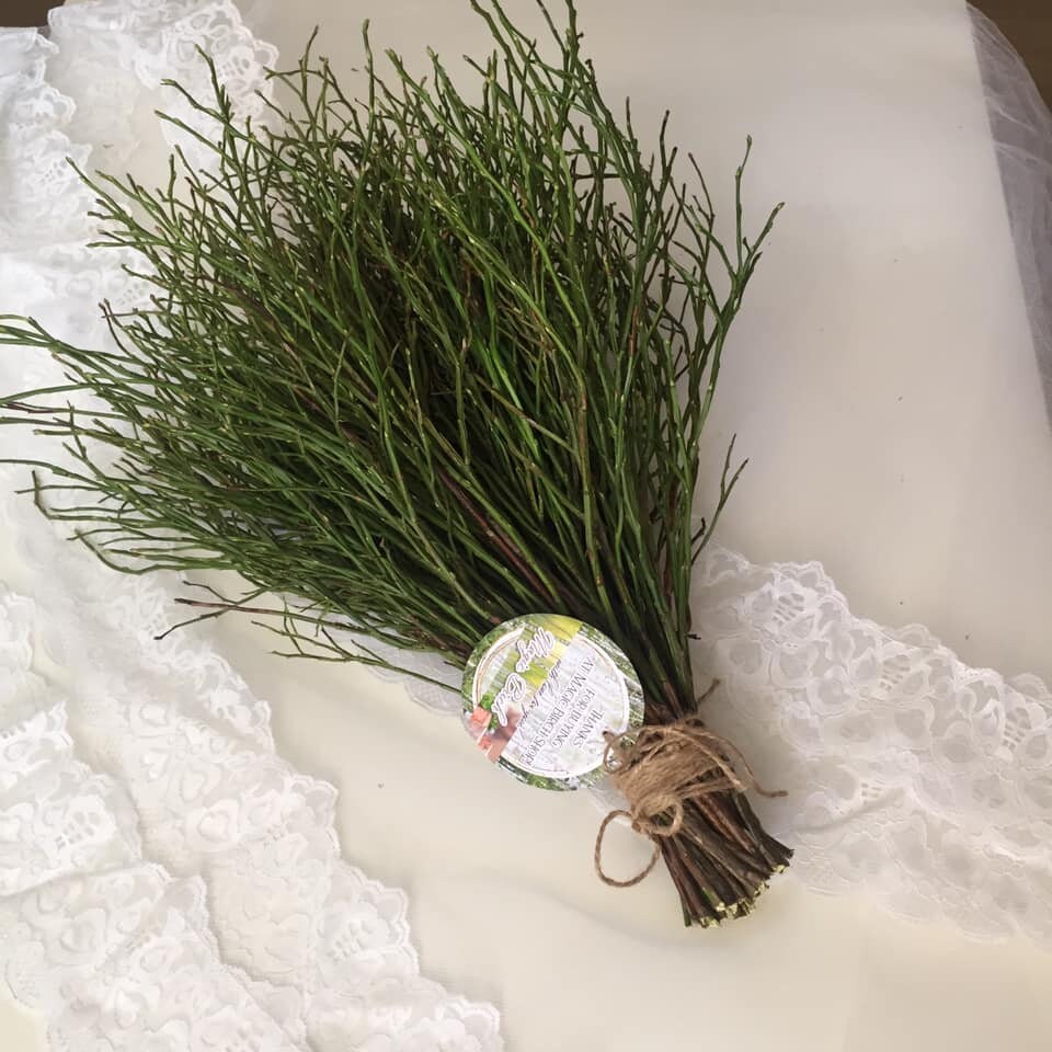 Green Dried Twigs Natural Twigs Dried Branches Wedding Centerpieces ...