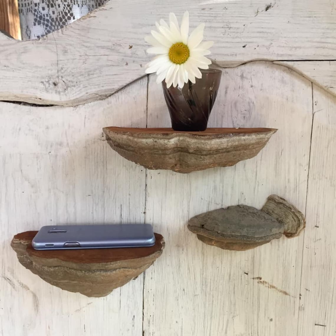 Set 3 Mushroom Shelf Fungus Shelves Cottagecore Decor Mushroom - Etsy