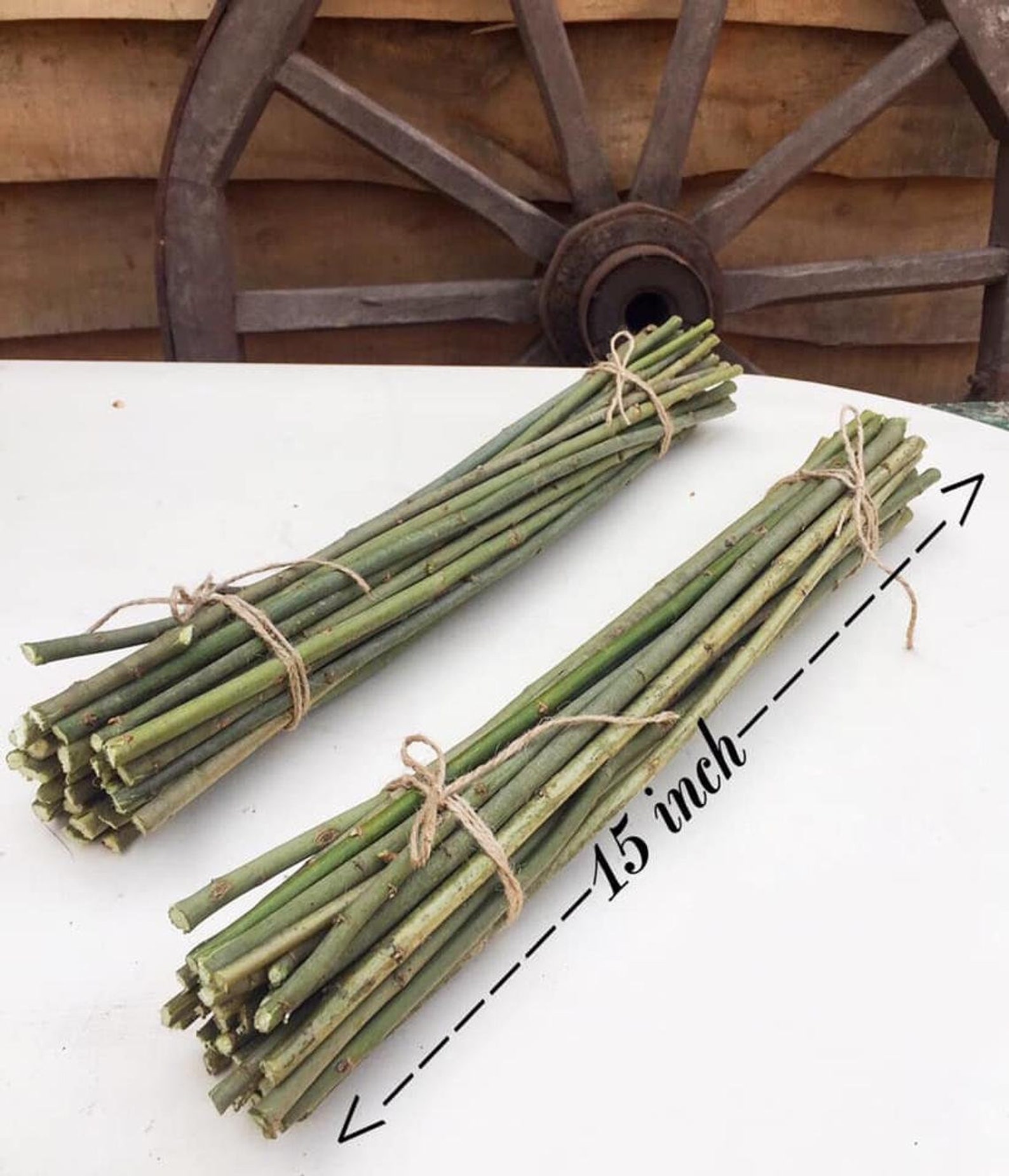 Willow Branches Weeping Willow Tree Craft Sticks - Etsy