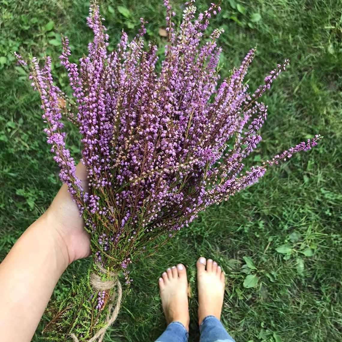 Dried Heather Bouquet Dried Wild Flowers - Etsy