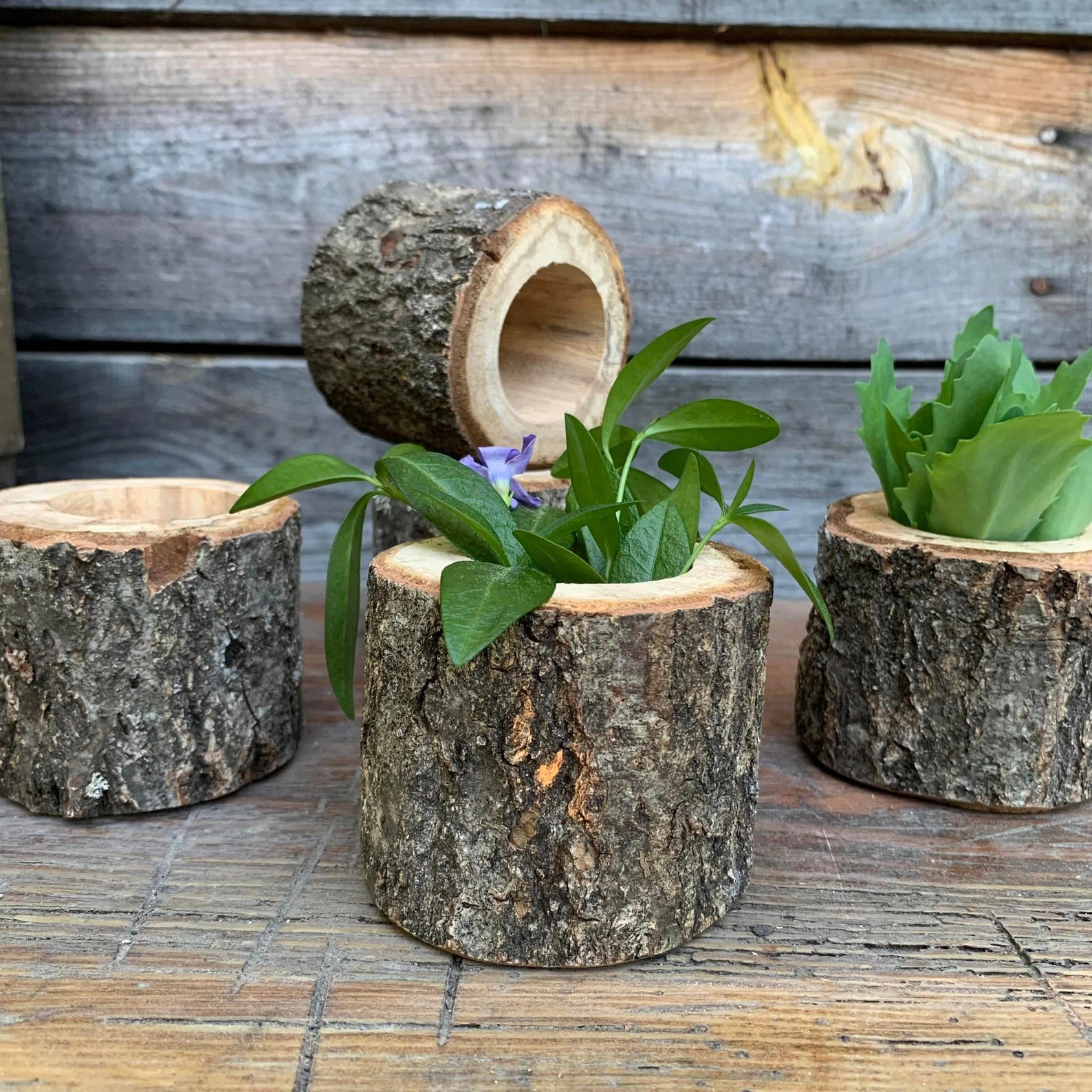 Small Indoor Planters Wood Flower Pot Mini Plant Pot Handmade Desk ...