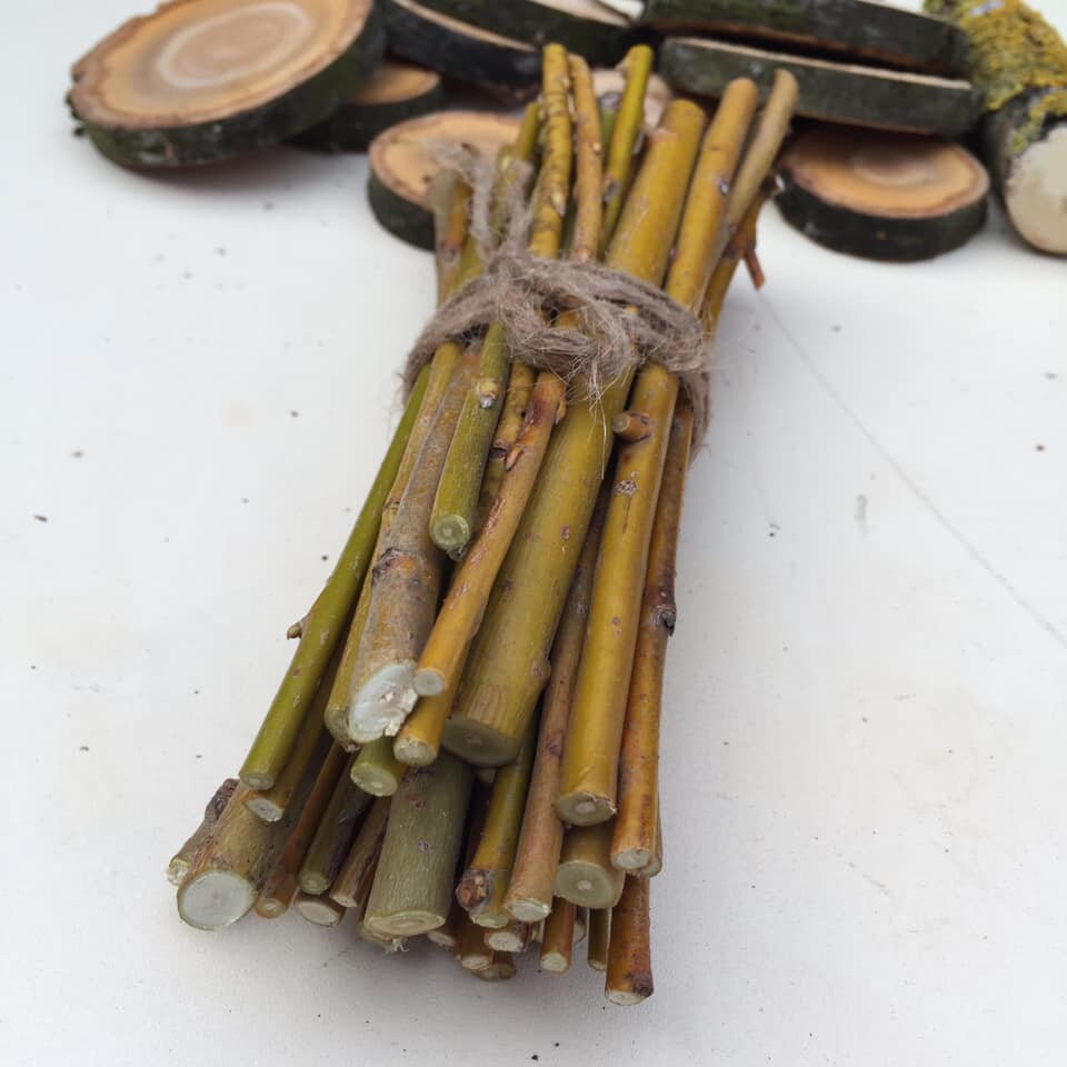 Box Chewing Tree Chewing Treat for Bunny Rabbits Chew Sticks | Etsy