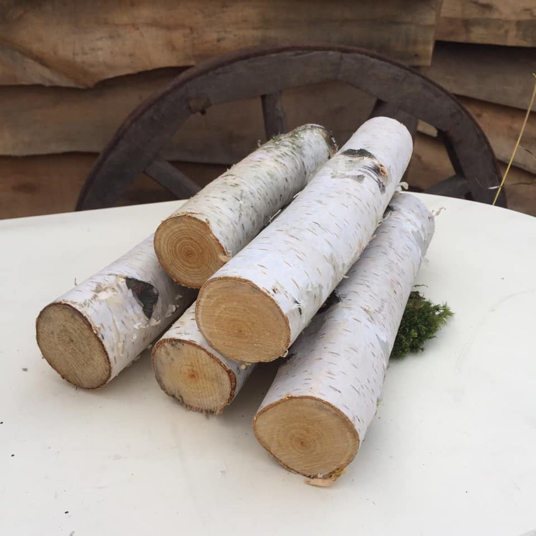 10" White Birch Logs for Fireplace, Rustic Home Decor - Etsy