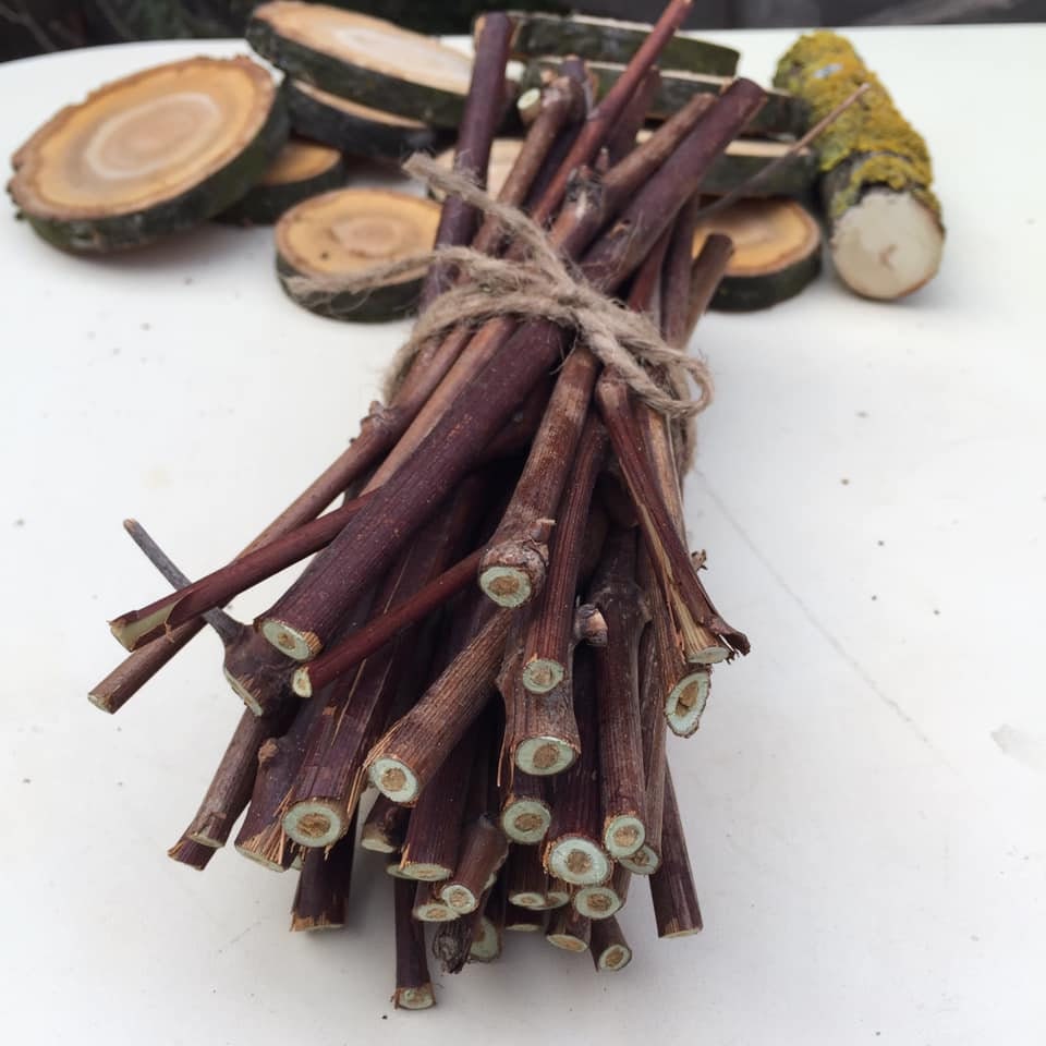 100 Apple Wood Sticks Chew Sticks Bunnies Fresh Organic Apple - Etsy