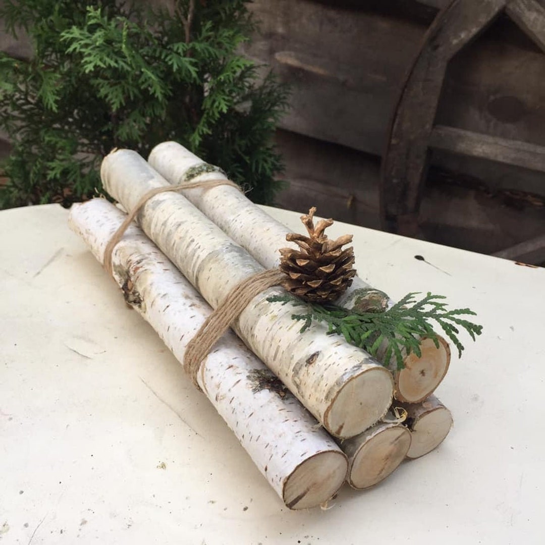 Christmas Birch Bundle Yule Log White Birch Fireplace Logs - Etsy