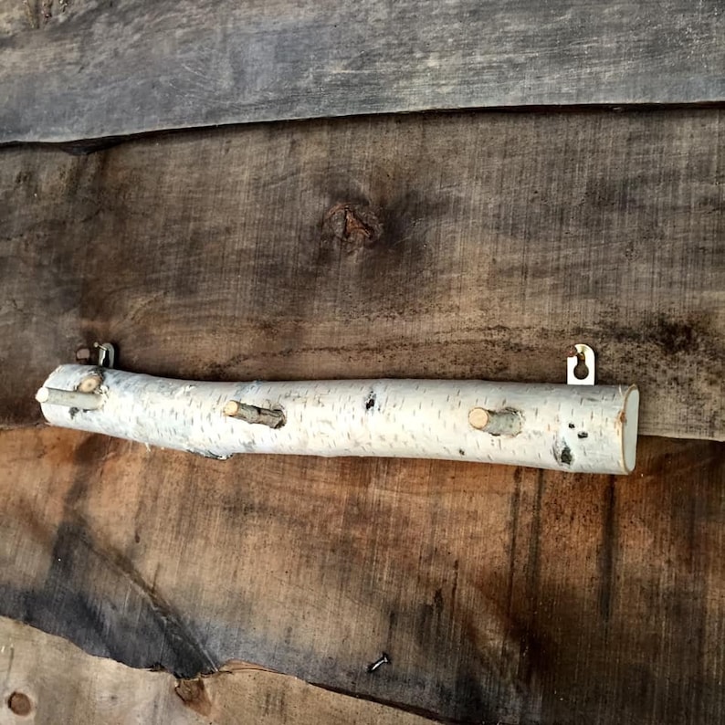 Birch Branch Coat Rack Wall Mount Rustic Coat Rack Wall Moun - Etsy