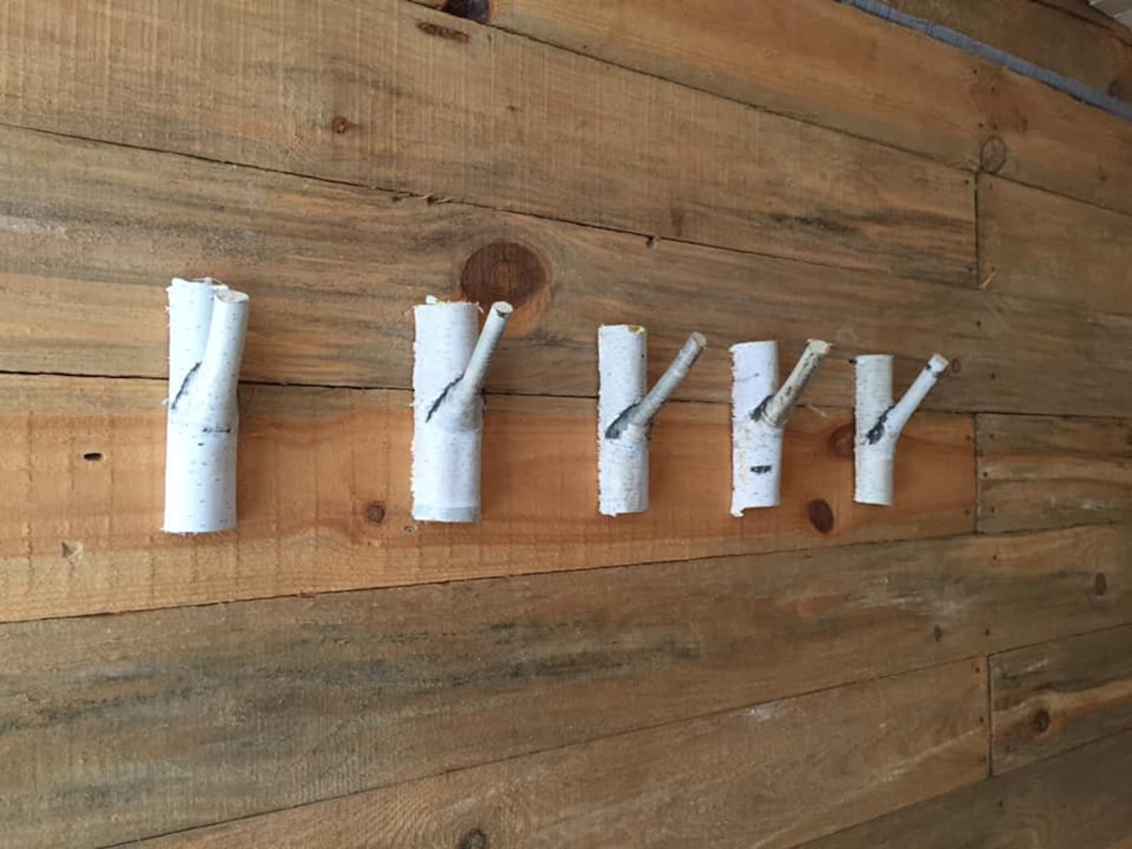 Set Tree Branch Hooks White Birch Wood Hooks - Etsy