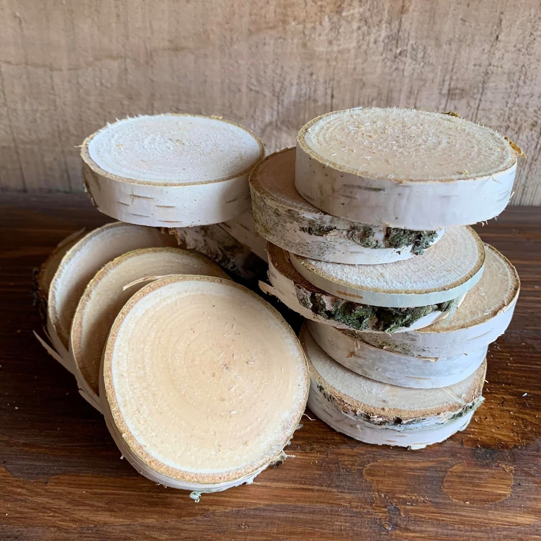 Set 10 White Birch Wood Coasters Birch Wood Slices Natural Wood Coaster ...