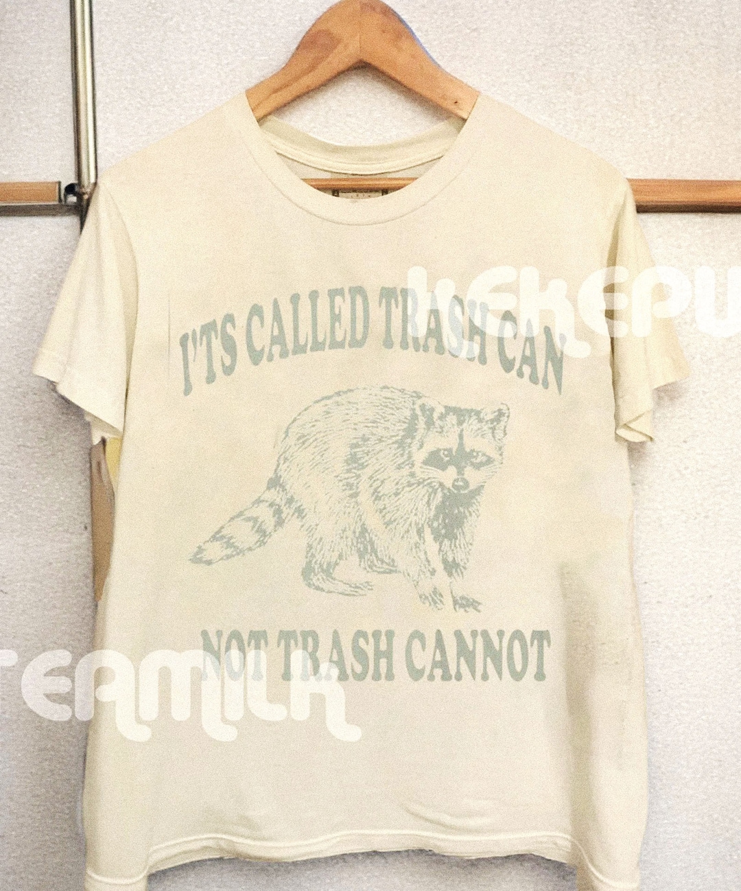 It’s Called Trash Can Not Trash Can’t Meme Funny Motivational Graphic ...