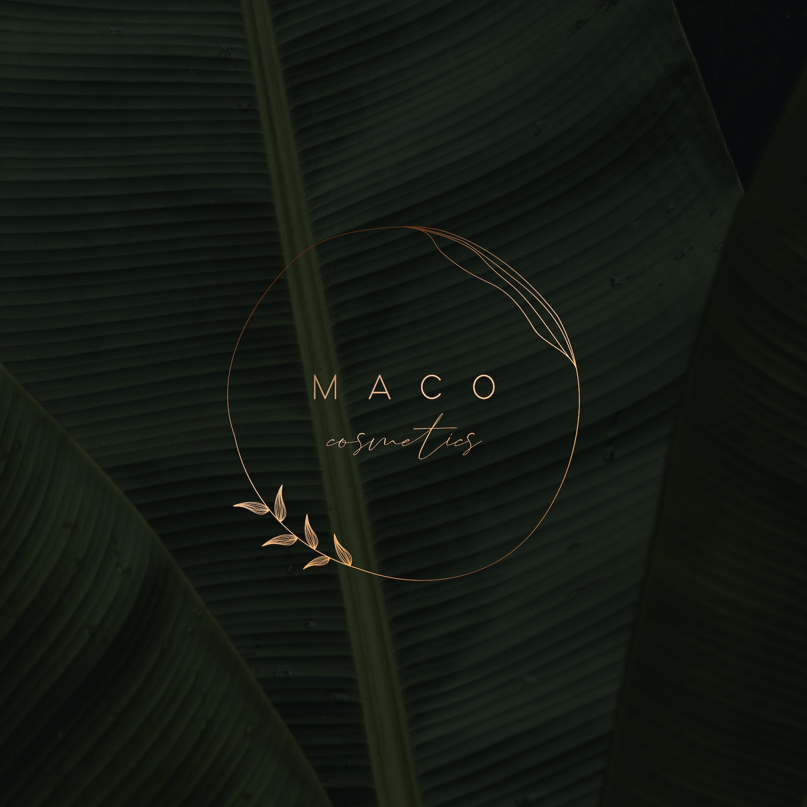 Organic Skincare Logo Modern Elegant Logo Leaf Logo Design - Etsy