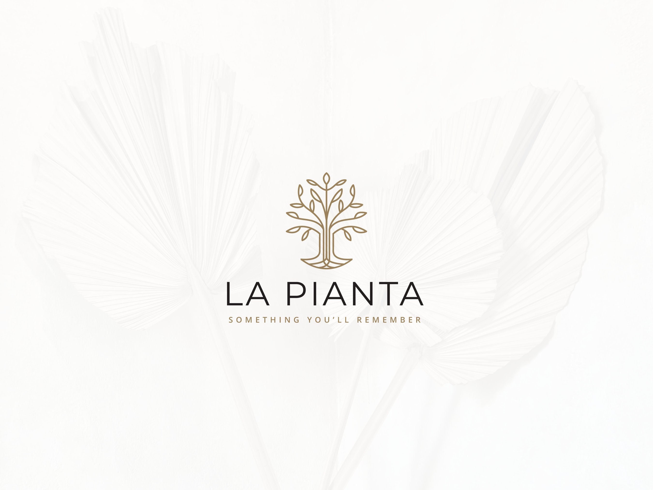 Olive Tree Restaurant Logo