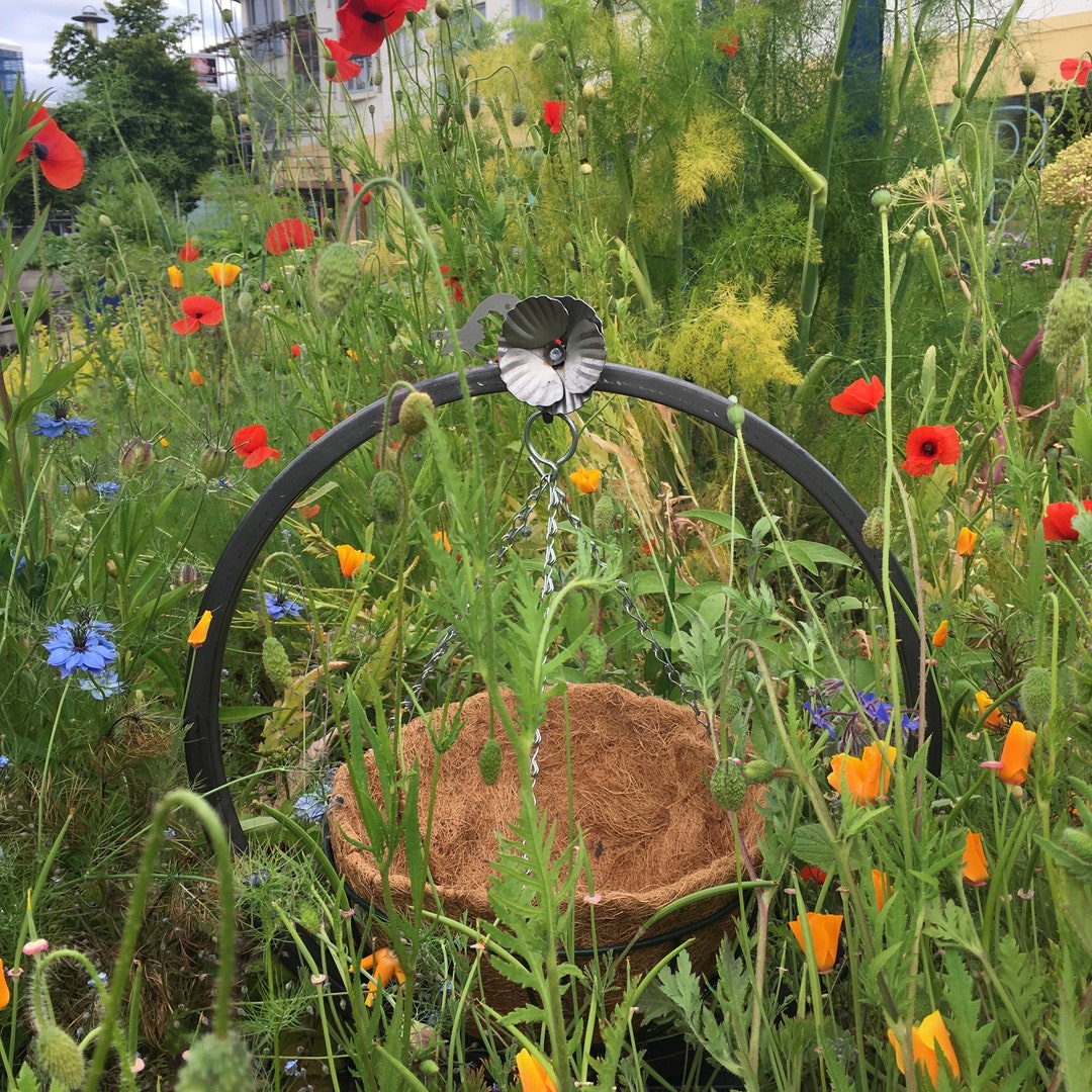 Hanging Basket Orbis- Heavy Duty Hook-hanging Flower Basket-garden ...
