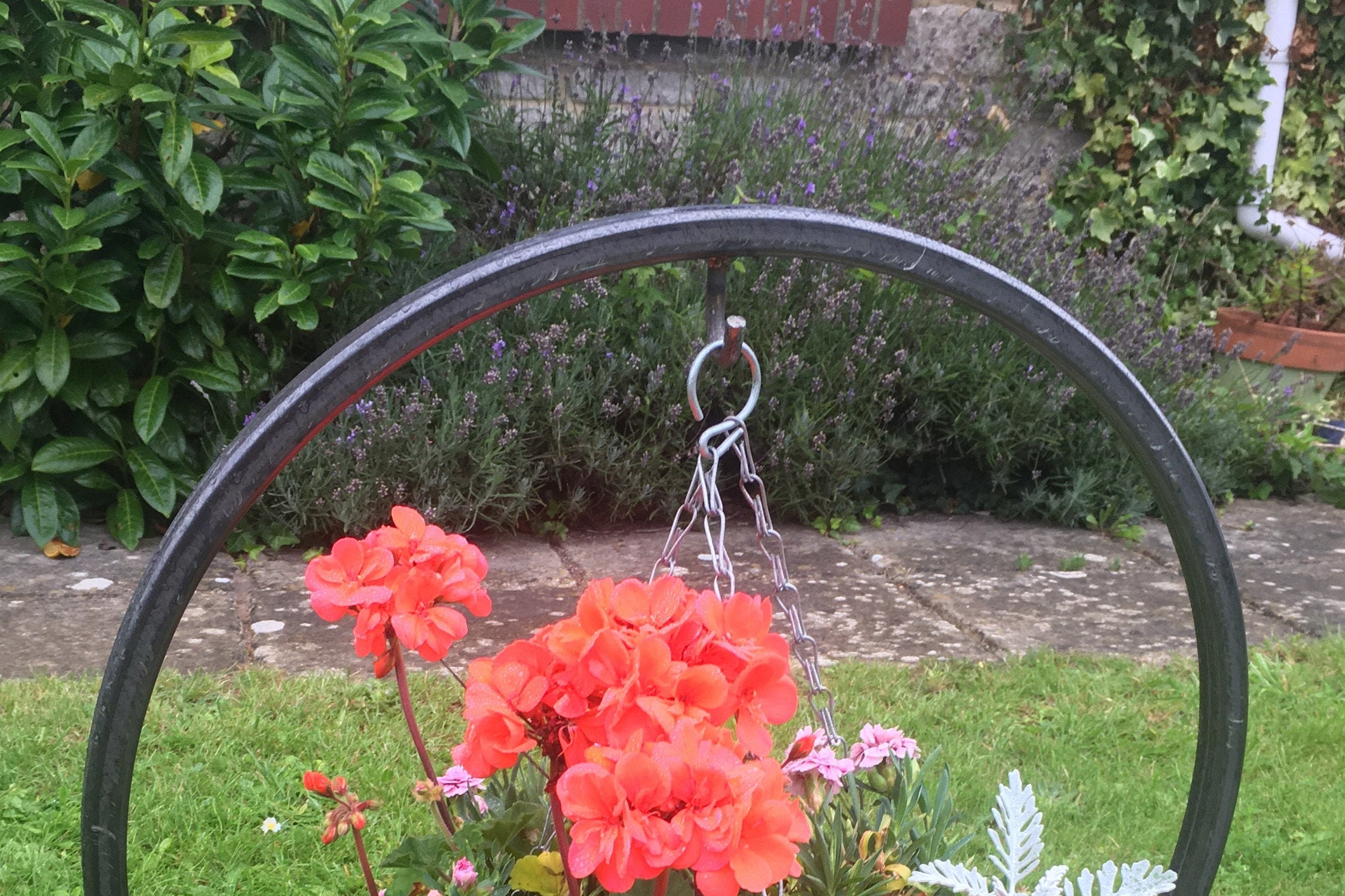 Hanging Basket Orbis Heavy Duty Hook-hanging Flower | Etsy UK