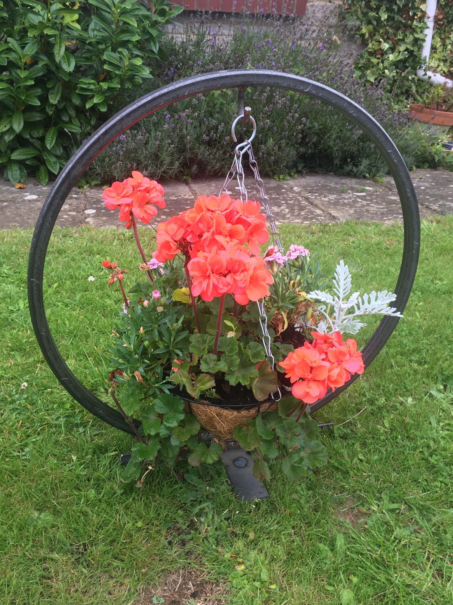Hanging Basket Orbis- Heavy Duty Hook-hanging Flower Basket-garden ...