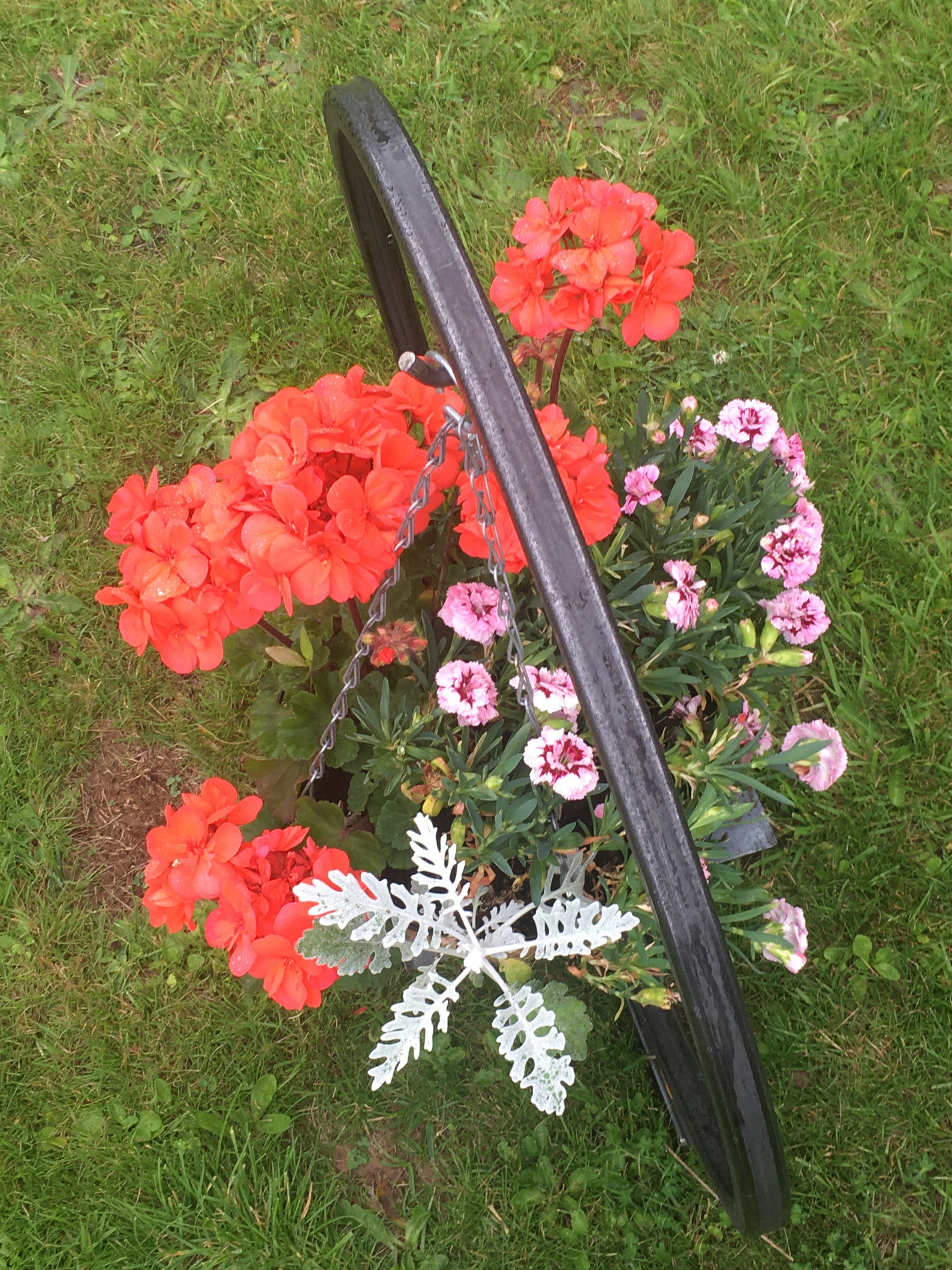 Hanging Basket Orbis- Heavy Duty Hook-hanging Flower Basket-garden ...