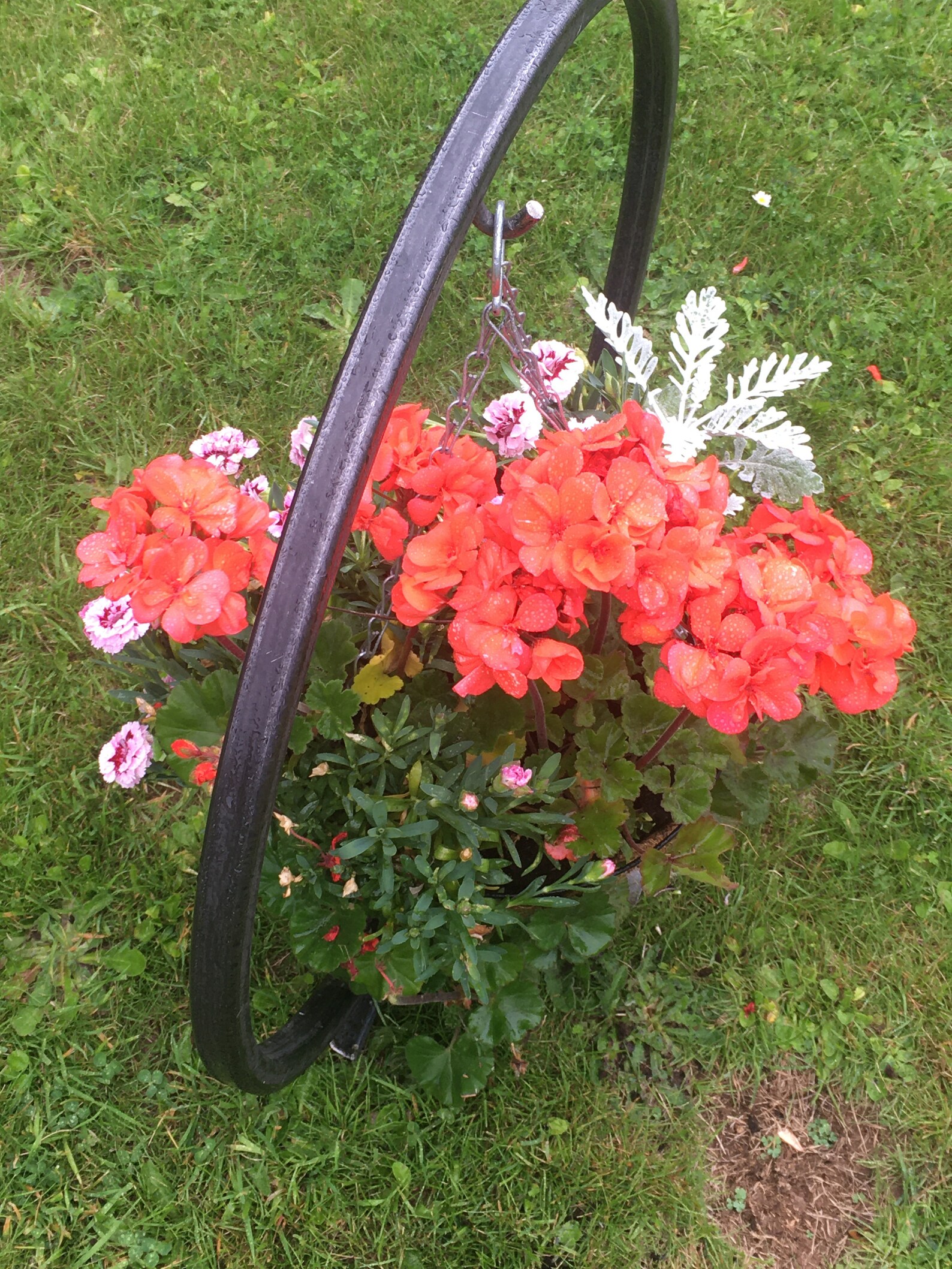 Hanging Basket Orbis Heavy Duty Hook-hanging Flower | Etsy UK