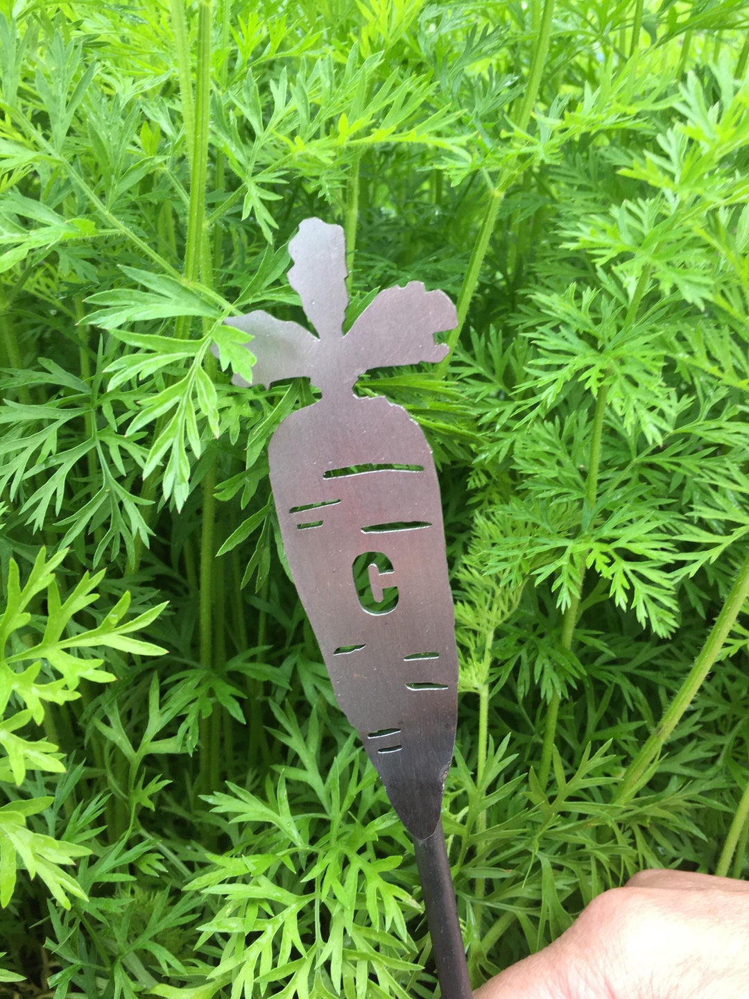 Seedling Plant Marker-carrot Label-vegetable Marker-gardener Gift ...