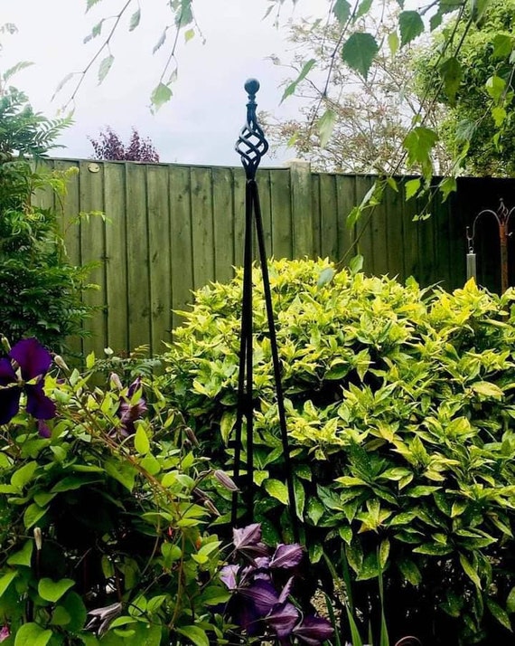 Clematis Garden Obelisks Tom Chambers Mini Plant Garden Obelisk