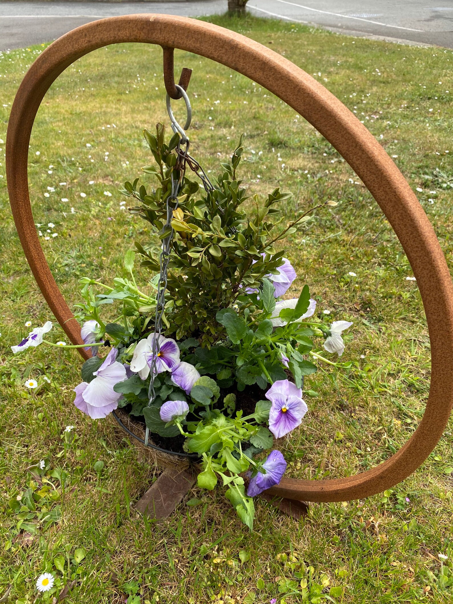Hanging Basket Orbis- Heavy Duty Hook-hanging Flower Basket-garden ...