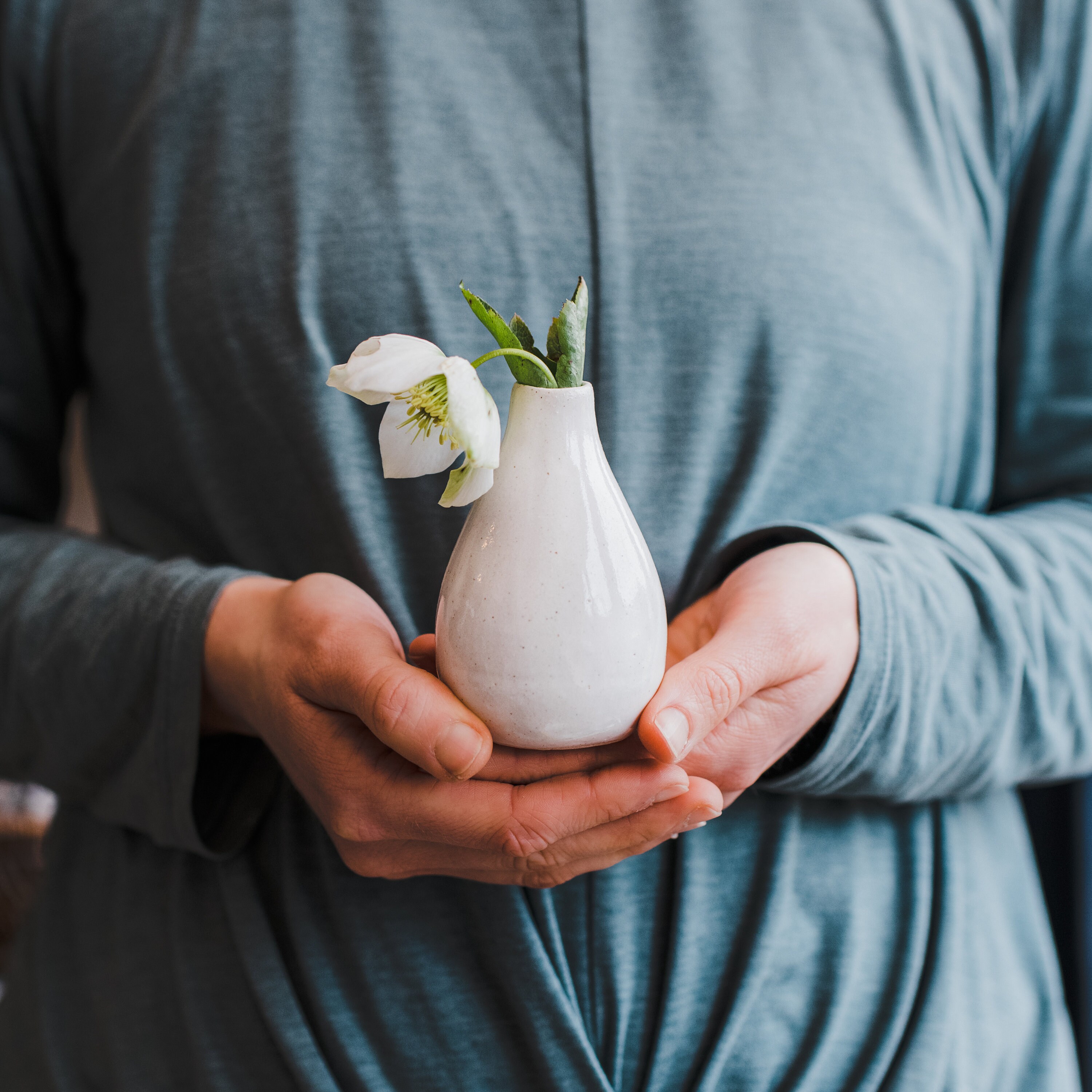 Workshops & Gatherings — Wildling Studio