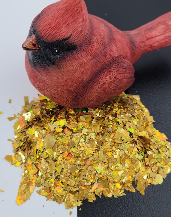 Gold Digger Shatters Holographic Glitter | Etsy